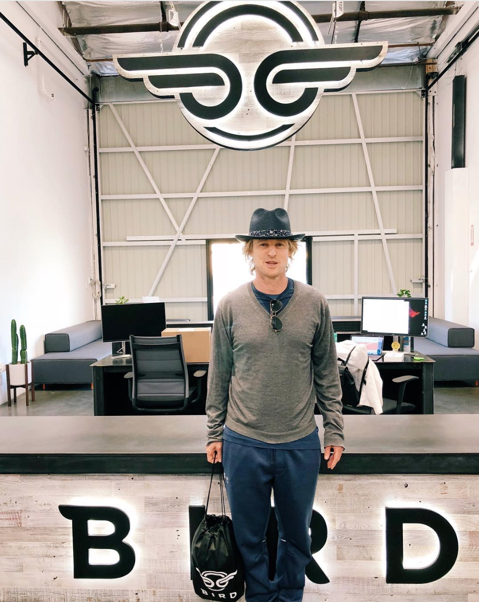 Bird – Tinkering Monkey