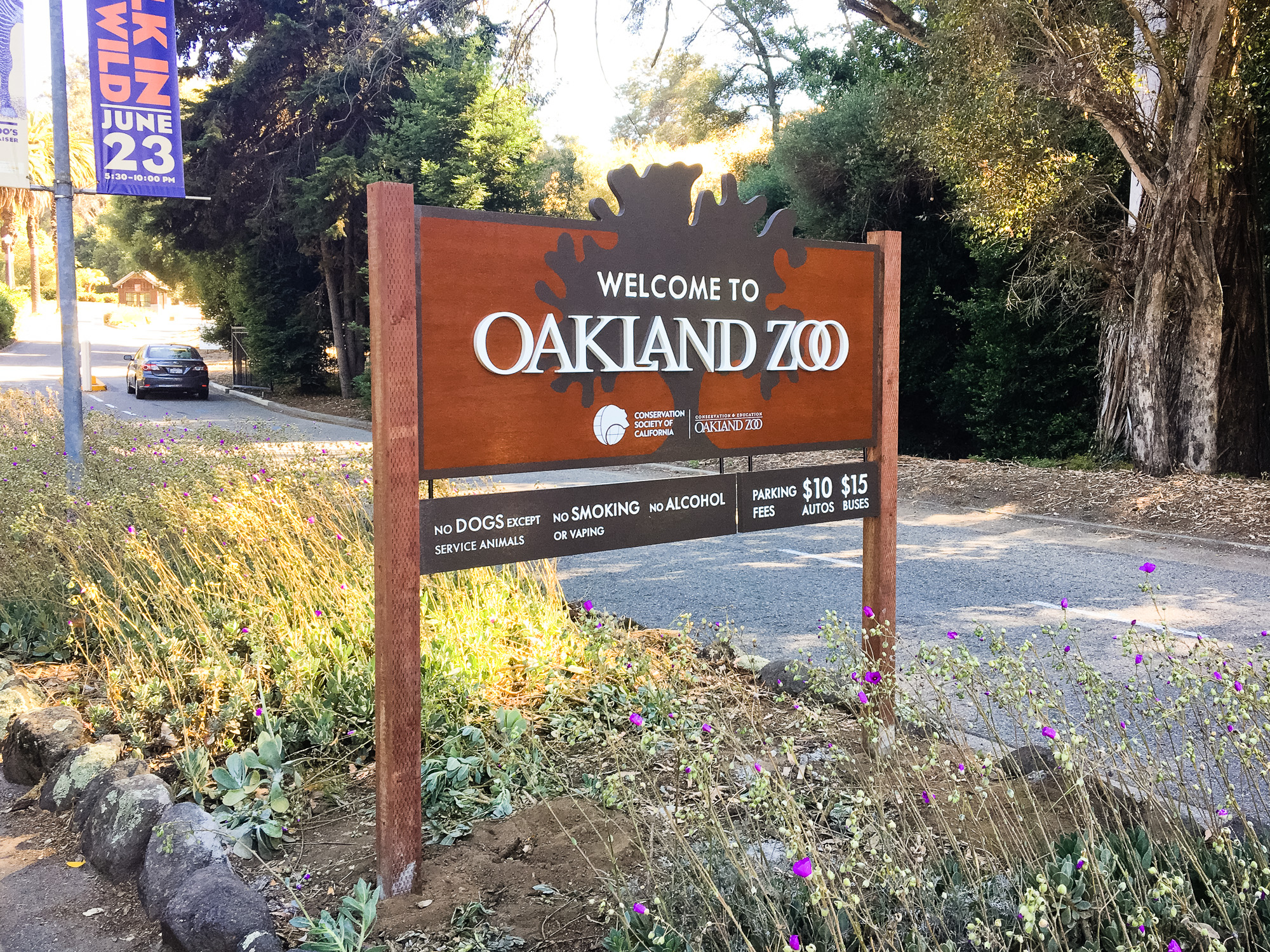 Tinkering Monkey – Oakland Zoo