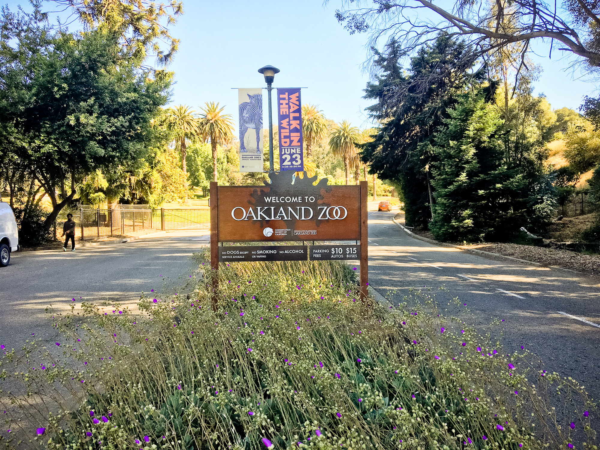 Tinkering Monkey – Oakland Zoo