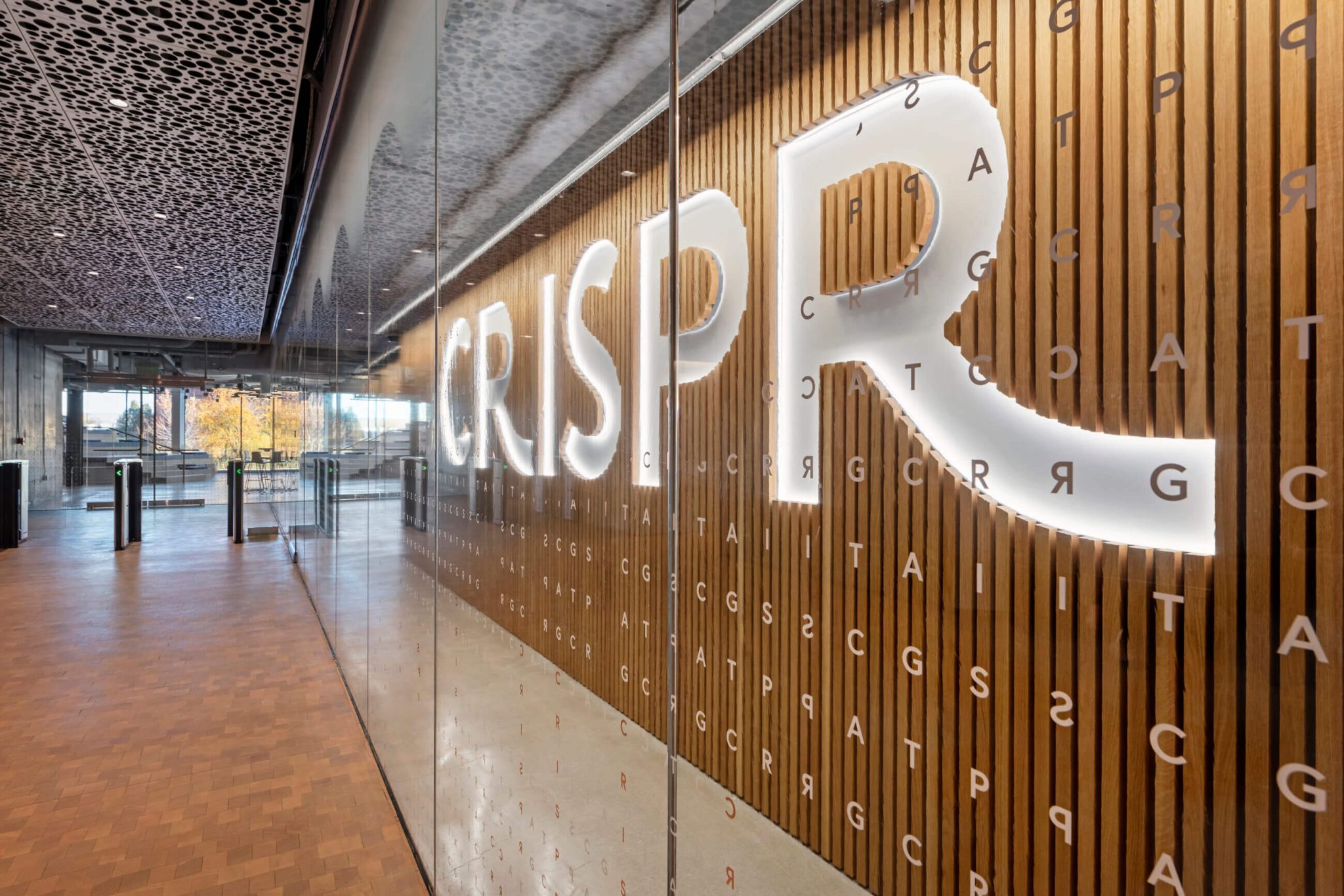 Wood Slat Walls: 17 Stunning Lobbies Leading the Trend – Tinkering Monkey