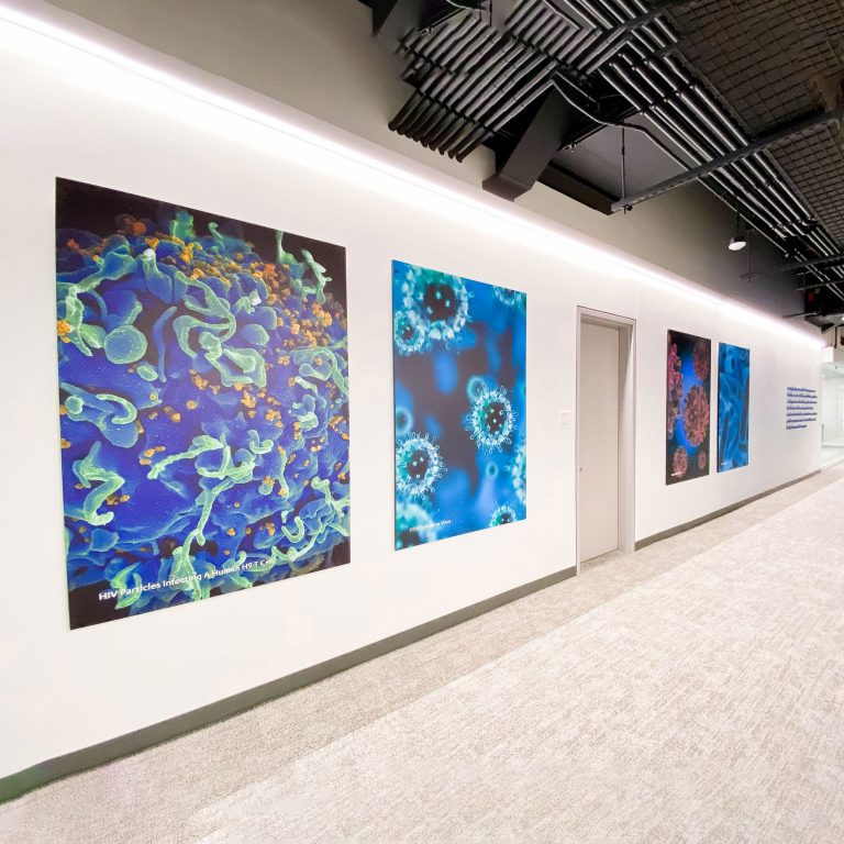 Abstract Map Art Installation – Tinkering Monkey